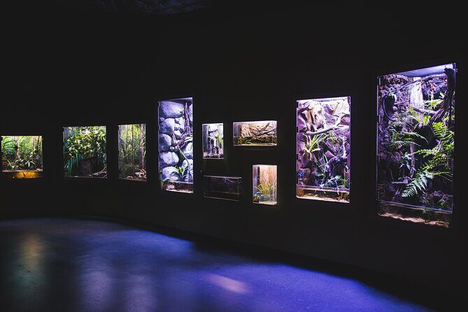 Cairns Aquarium by Twilight Tour - Practical Aspects: What to Expect
