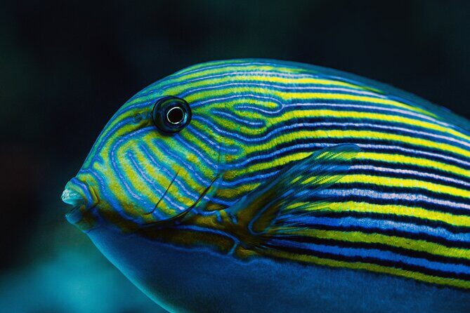 Cairns Aquarium by Twilight Tour - How the Tour Compares to Other Experiences