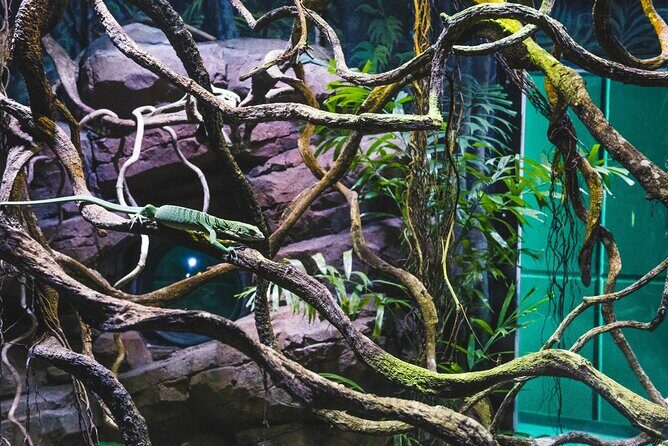 Cairns Aquarium by Twilight Tour - Real Feedback: What Past Visitors Loved