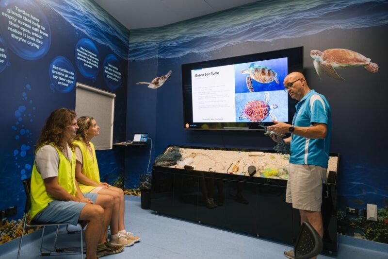 Cairns: Aquarium Entry Ticket and Turtle Rehabilitation Tour - Key Points