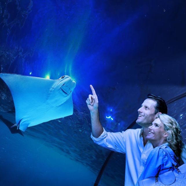 Cairns: Aquarium Guided Twilight Tour with 3-Course Dinner - The Itinerary: What You Can Expect