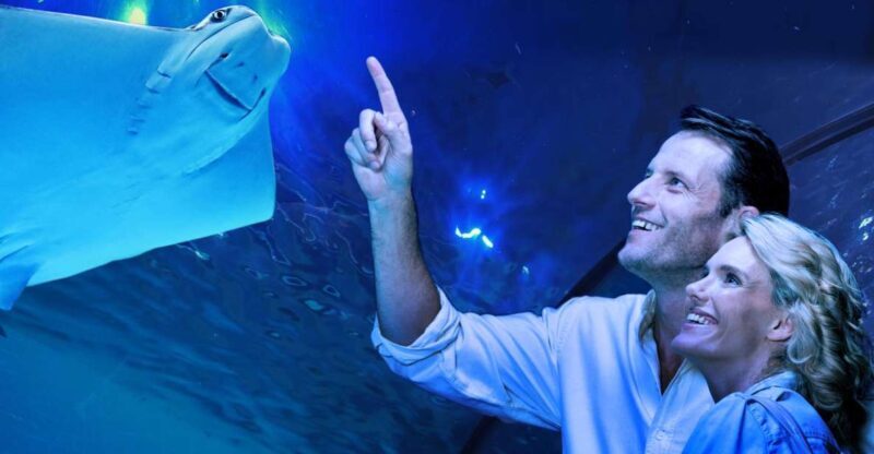 Cairns: Aquarium Guided Twilight Tour with 3-Course Dinner - What Makes This Tour Stand Out