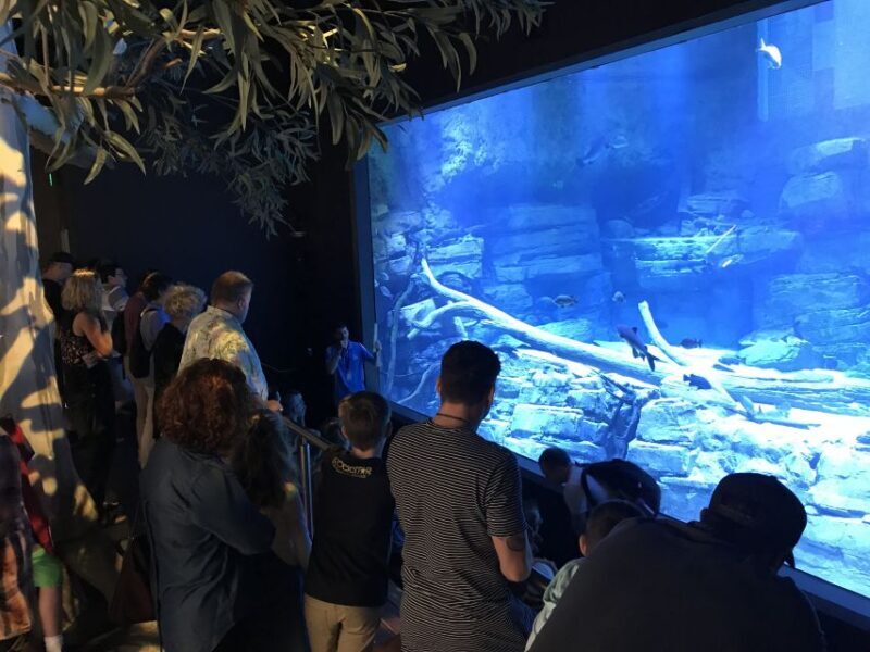 Cairns Aquarium Turtle Hospital and City Sightseeing Tour - The Sum Up