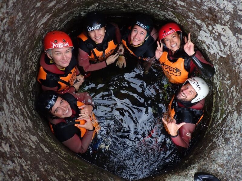 Cairns: Behana Gorge Rainforest Adventure Tour - Key Points