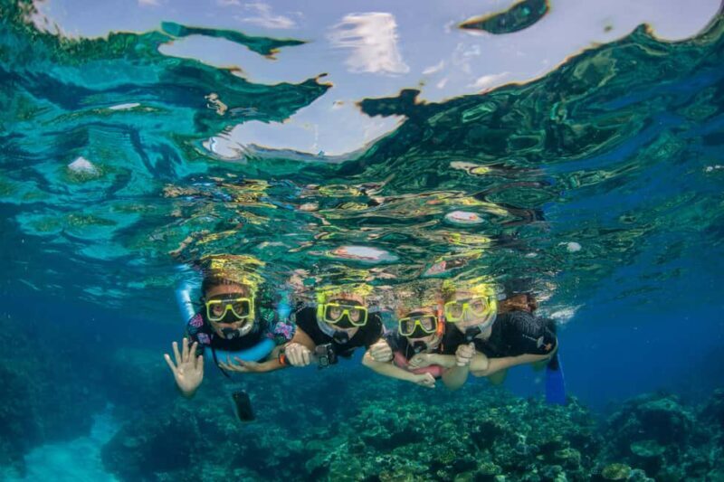 Cairns: Best Value All-inclusive Reef Trip With Scuba Dive - Who Will Love This Tour?