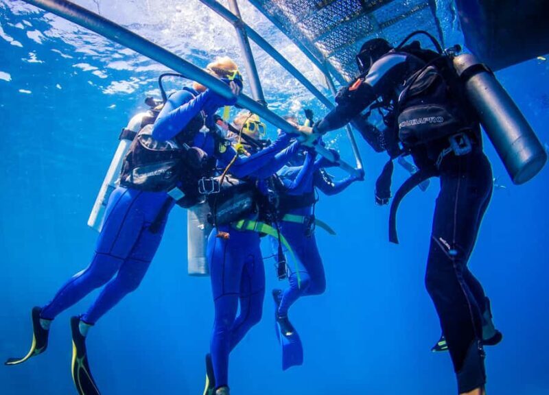 Cairns: Best Value All-inclusive Reef Trip With Scuba Dive - The Sum Up
