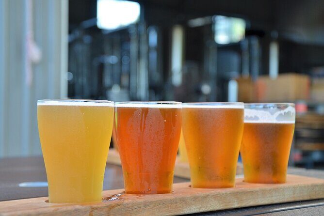 Cairns Brewery Tours - Who Will Love This Tour?