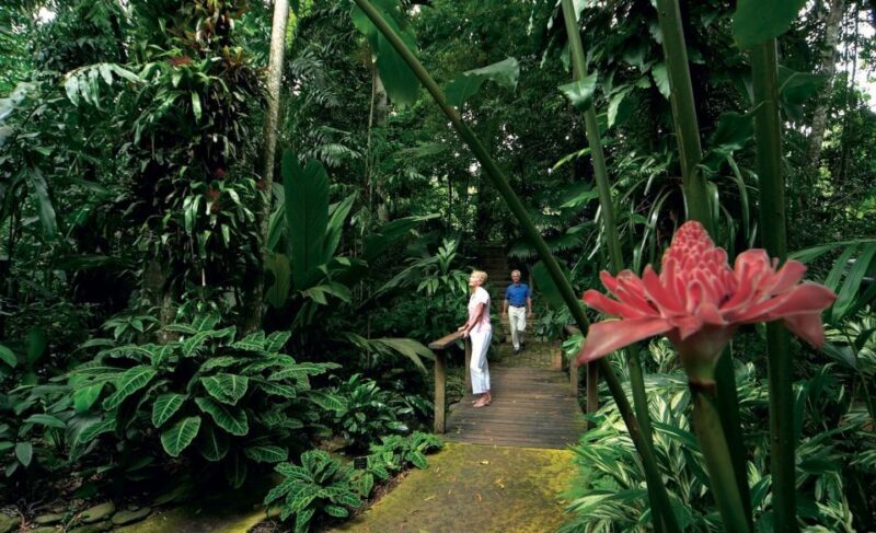 Cairns: Cairns City Sights & Surrounds Half Day Tour - Final thoughts: Is this tour right for you?