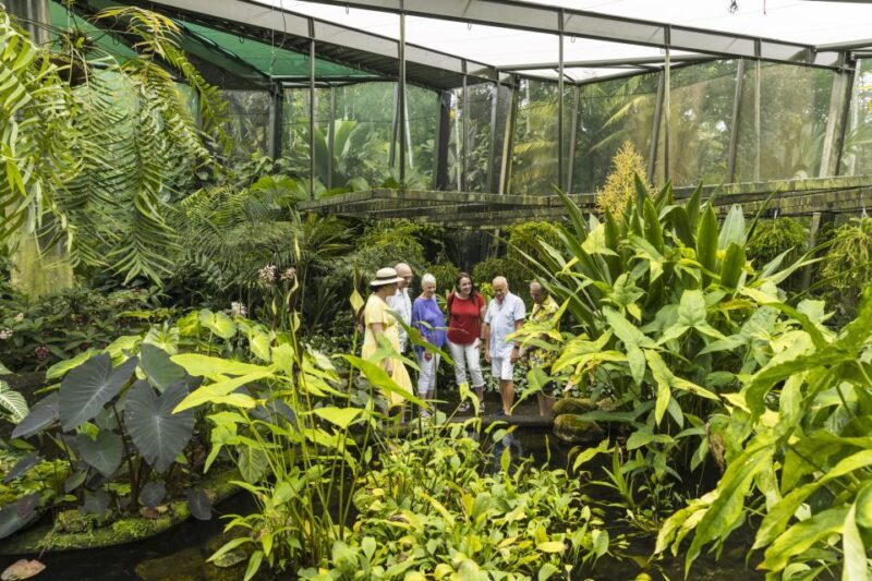Cairns: Cairns City Sights & Surrounds Half Day Tour - Key Points
