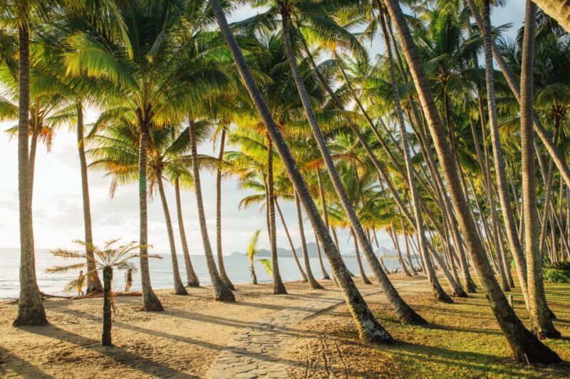 Cairns: Cairns City Sights & Surrounds Half Day Tour - Authentic Experiences & Traveler Perspectives