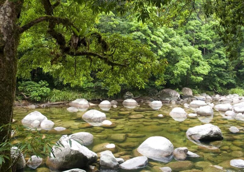 Cairns: Cape Tribulation, Daintree, Mossman and Port Douglas - Key Points