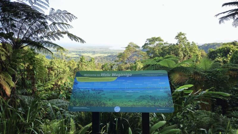 Cairns: Cape Tribulation, Mossman Gorge & Daintree Day Tour - Introduction