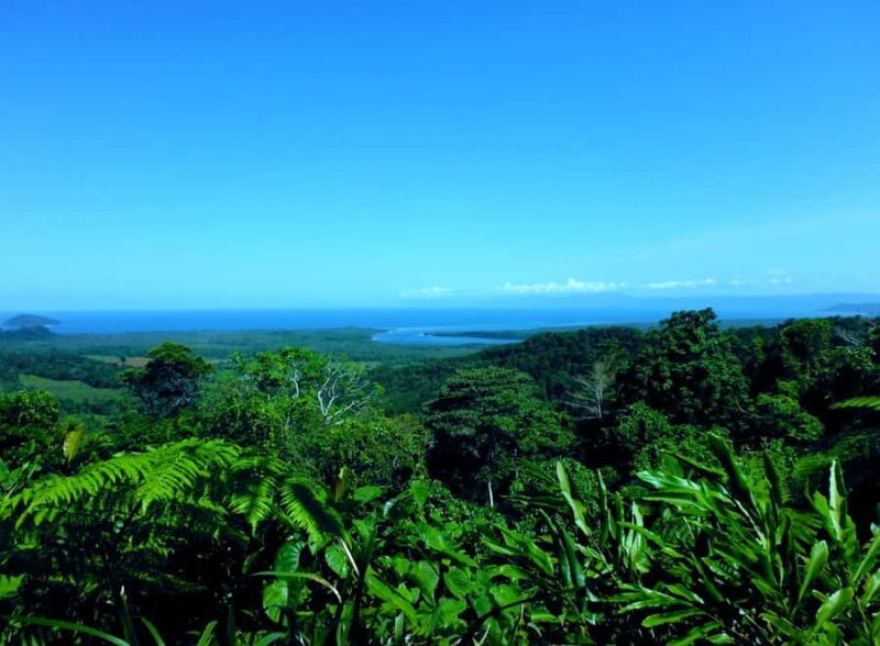 Cairns: Cape Tribulation, Mossman Gorge & Daintree Day Tour - Lunch and Tropical Fruit Tasting