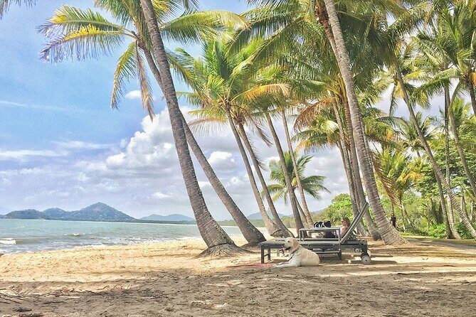 Cairns City Half Day Tour - An In-Depth Look at the Tour Itinerary