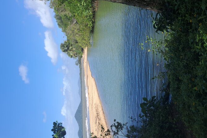 Cairns City Half Day Tour - Who Should Consider This Tour?