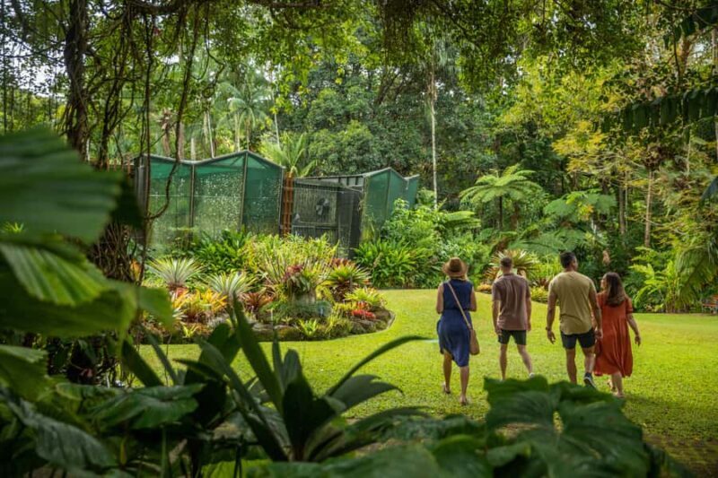 Cairns: City Sights Tour with Evening Dinner Cruise - Transportation, Group Size, and Practicalities