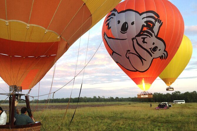 Cairns Classic Hot Air Balloon + Lemoncello - Authentic Insights from Travelers
