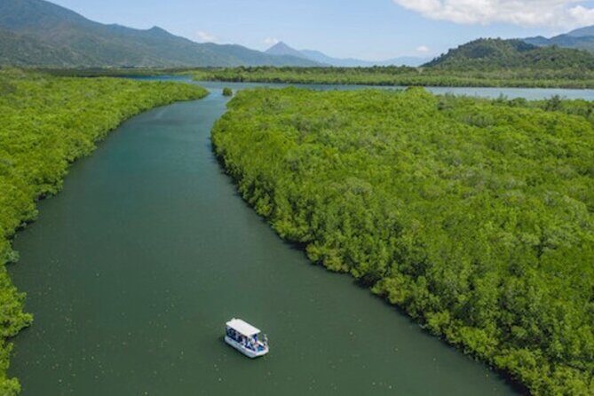 Cairns Combo: Cairns River Cruise & Small group Cairns City Sights - An In-Depth Look at the Cairns Combo Tour