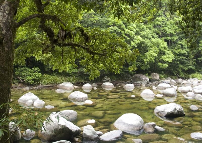 Cairns: Daintree, Mossman Gorge, & Cape Tribulation Day Trip - The Sum Up