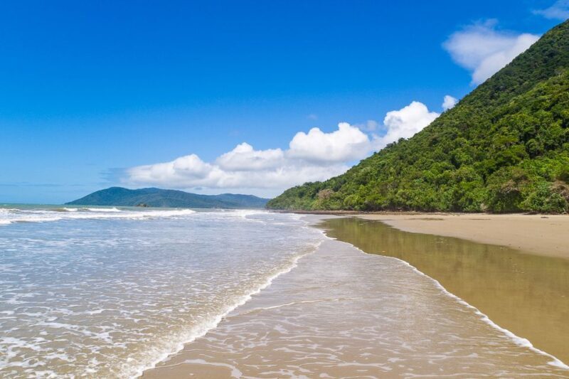 Cairns: Daintree Rainforest and Mossman Gorge Tour - Practical Tips for Travelers