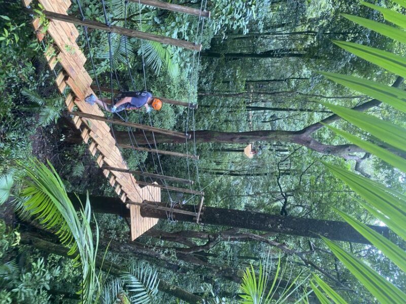 Cairns: Daintree Rainforest Canopy Ziplining Tour - An Introduction to the Experience
