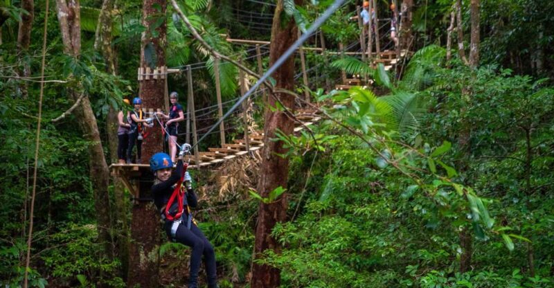 Cairns: Daintree Rainforest Canopy Ziplining Tour - The Itinerary: What to Expect