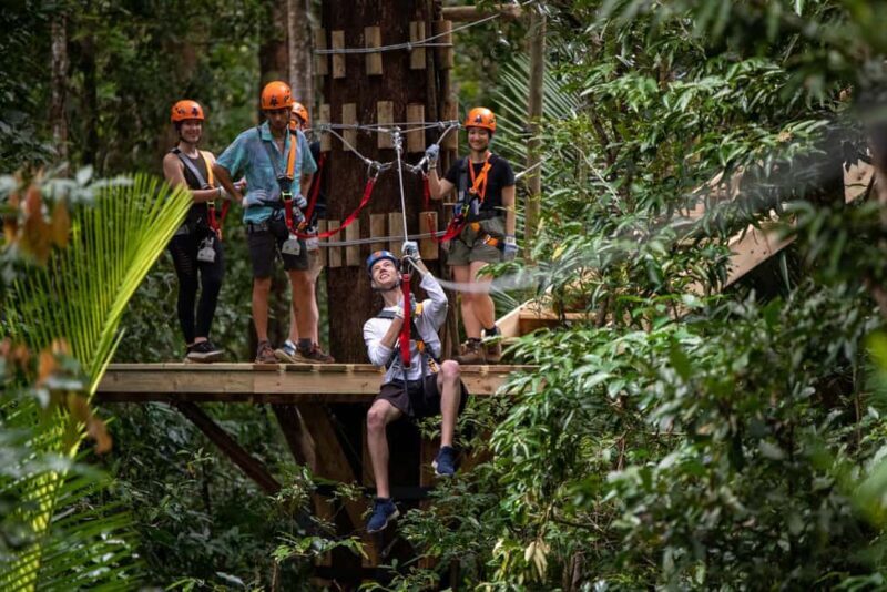 Cairns: Daintree Rainforest Canopy Ziplining Tour - Authenticity and Family-Friendliness