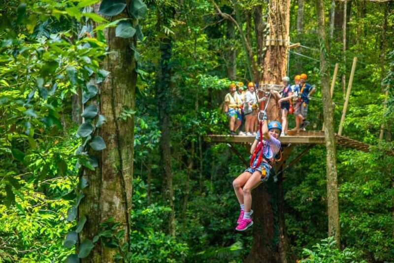 Cairns: Daintree Rainforest Canopy Ziplining Tour - Final Thoughts: Is It Worth It?