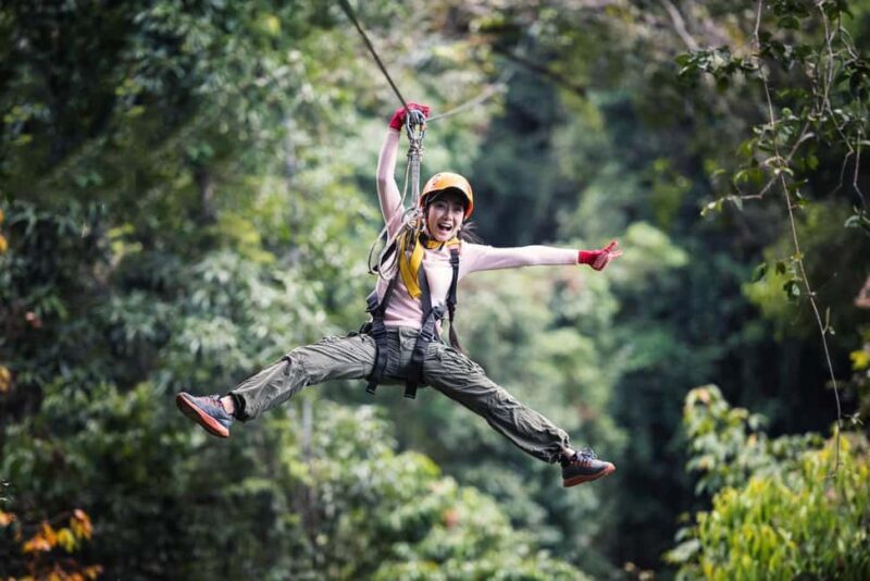 Cairns: Daintree Rainforest Canopy Ziplining Tour - Final Words