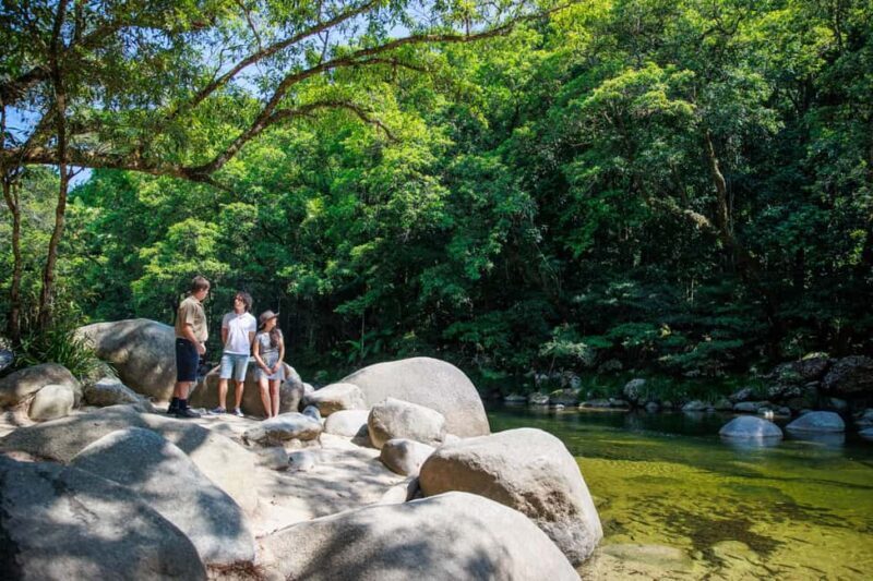 Cairns: Daintree Rainforest & Cape Tribulation Day Trip - Cairns: Daintree Rainforest & Cape Tribulation Day Trip — A Detailed Look