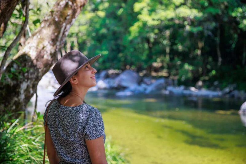 Cairns: Daintree Rainforest & Cape Tribulation Day Trip - The Itinerary: What You Can Expect
