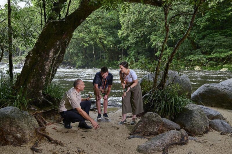 Cairns: Daintree Rainforest & Cape Tribulation Day Trip - The Value of the Experience