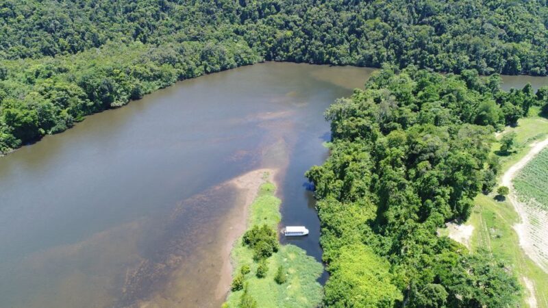 Cairns: Daintree Rainforest Wildlife Experience Cruise - Introduction: An Authentic Wildlife Encounter in the Daintree