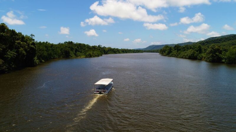 Cairns: Daintree Rainforest Wildlife Experience Cruise - The Itinerary: What to Expect from the Tour