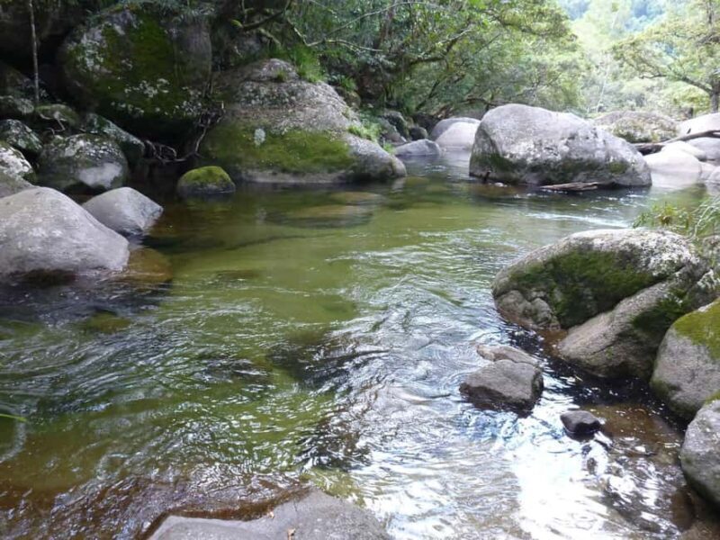 Cairns: Daintree River Cruise and Mossman Gorge - Starting the Day: From Cairns to Port Douglas