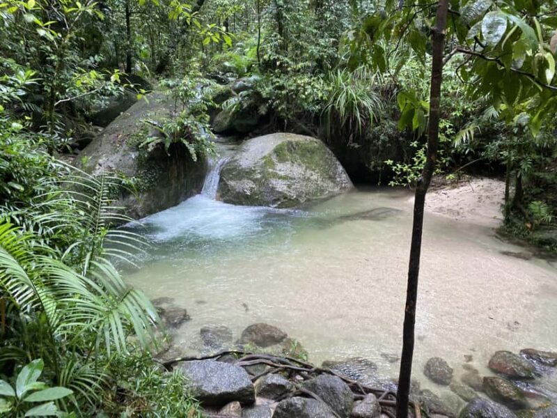Cairns: Daintree River Cruise and Mossman Gorge - How the Tour Scores on Value