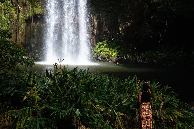Cairns Day Tour Private Waterfall - An In-Depth Look at the Cairns Private Waterfall Tour