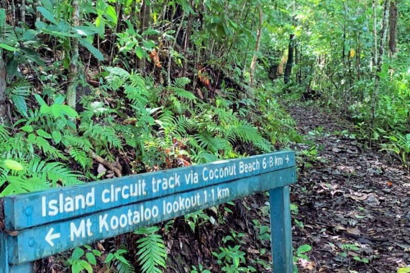 Cairns: Explore Dunk Island Day Tour - The Sum Up: Why This Tour Is a Solid Choice