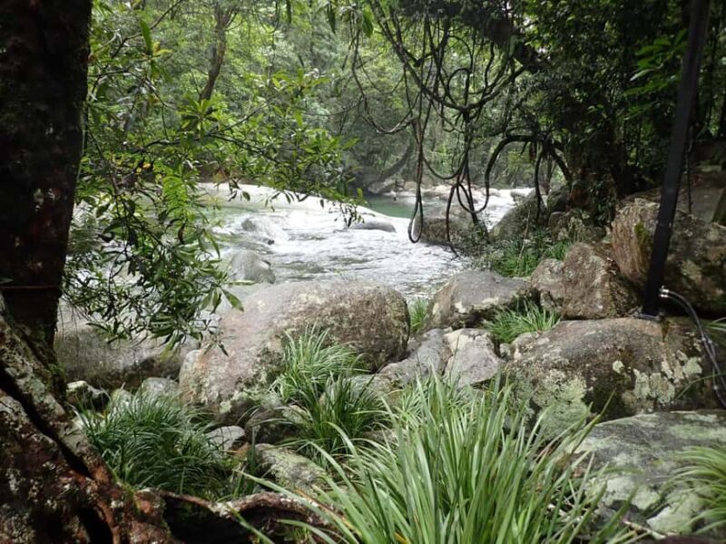 Cairns: Explorer Tour- Cairns Waterfalls - Key Points