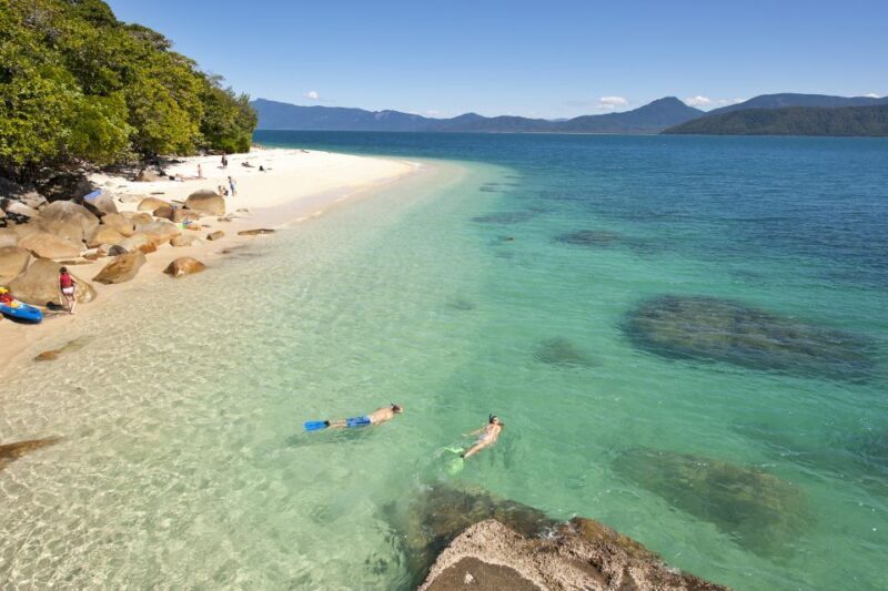 Cairns: Fitzroy Island Ferry w/ Snorkel, Lunch, Tour Options - Snorkeling and Marine Encounters