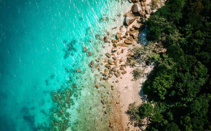 Cairns: Fitzroy Island Ferry with Optional Lunch & Activity - An In-Depth Look at the Fitzroy Island Ferry Tour