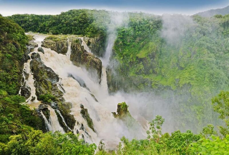 Cairns: Forest and Waterfalls Half-Day 4WD Guided Adventure - Authenticity and Real-World Reviews