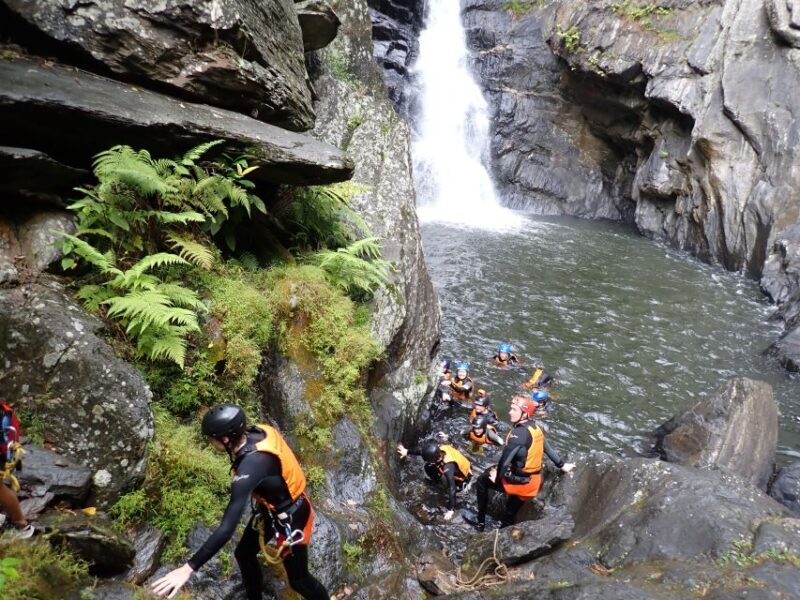 Cairns Full-Day Canyoning Adventure tour - Final Thoughts on Value and Experience