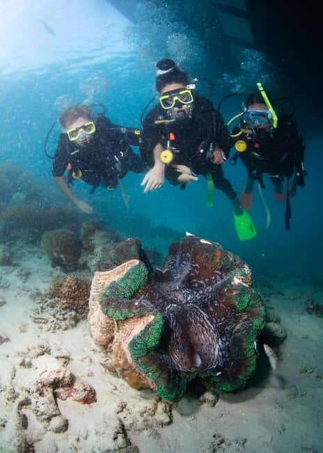 Cairns: Full Day Great Barrier Reef Pontoon Experience - The Sum Up: Why This Tour Might Be Perfect for You