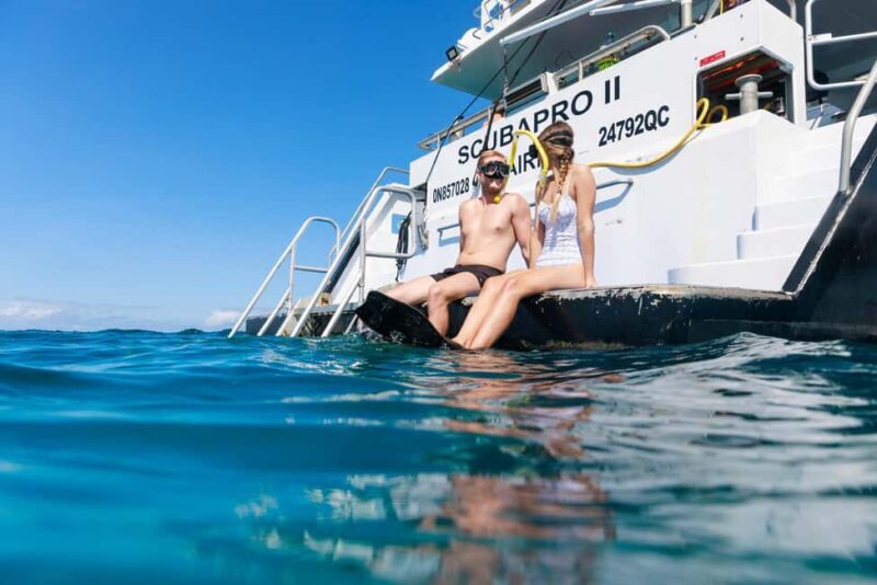 Cairns: Great Barrier Reef 3-Day Liveaboard Dive Trip - Authenticity & Real Reviews