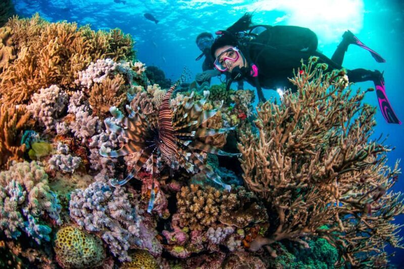 Cairns: Great Barrier Reef 3-Day Liveaboard Dive Trip - FAQ
