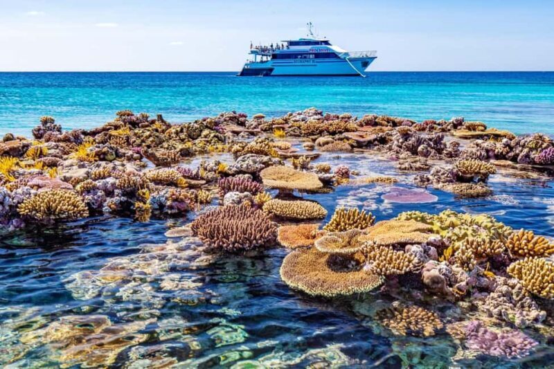Cairns: Great Barrier Reef 5 Day Learn to Dive Course - Introduction: An Authentic Reef Adventure for Aspiring Divers