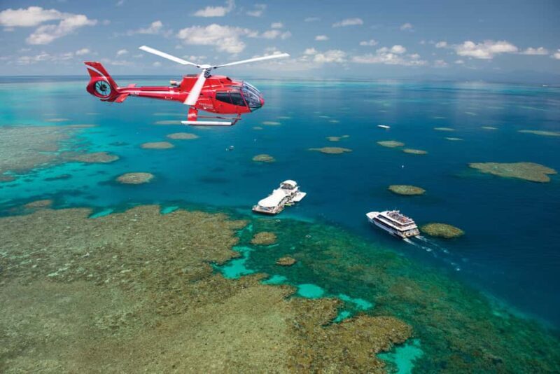Cairns: Great Barrier Reef Cruise & 10 Minute Helicopter - Key Points