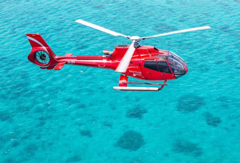 Cairns: Great Barrier Reef Cruise & Scenic Helicopter Flight - Authentic Feedback from Travelers