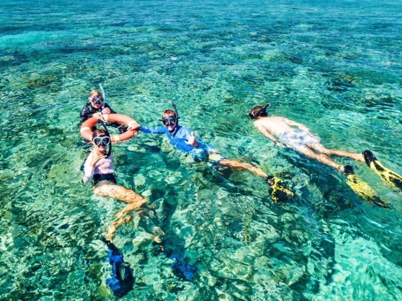 Cairns: Great Barrier Reef Full-Day Tour - The Itinerary in Detail: What You Can Expect